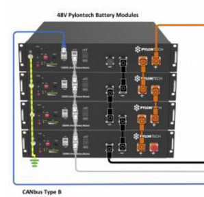 Pylontech UP2500 and RCT AXPERT VM3 3KW 24VOLT inverter - Inverters ...